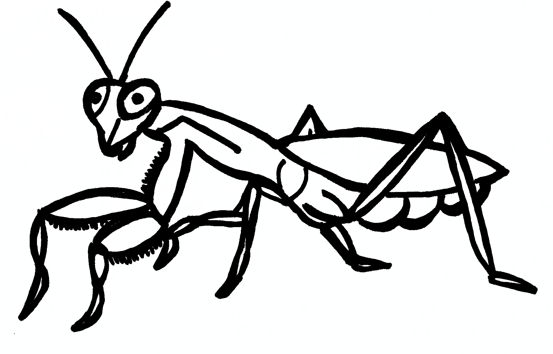 Praying Mantis (1993) | Swampflix